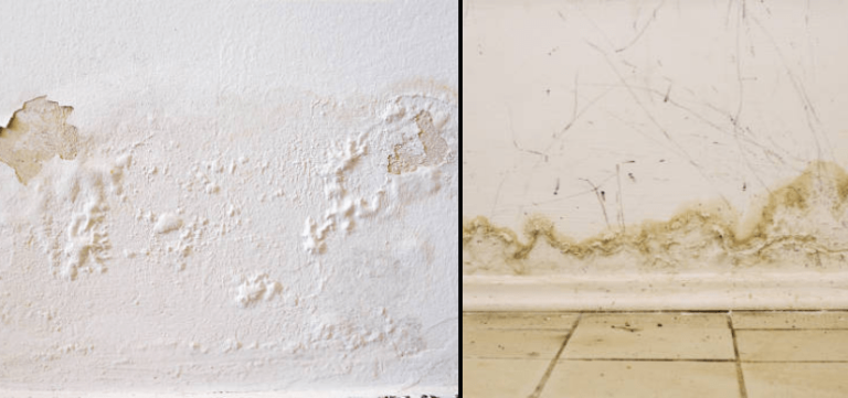 What To Do When You Discover a Wet Spot On Your Wall